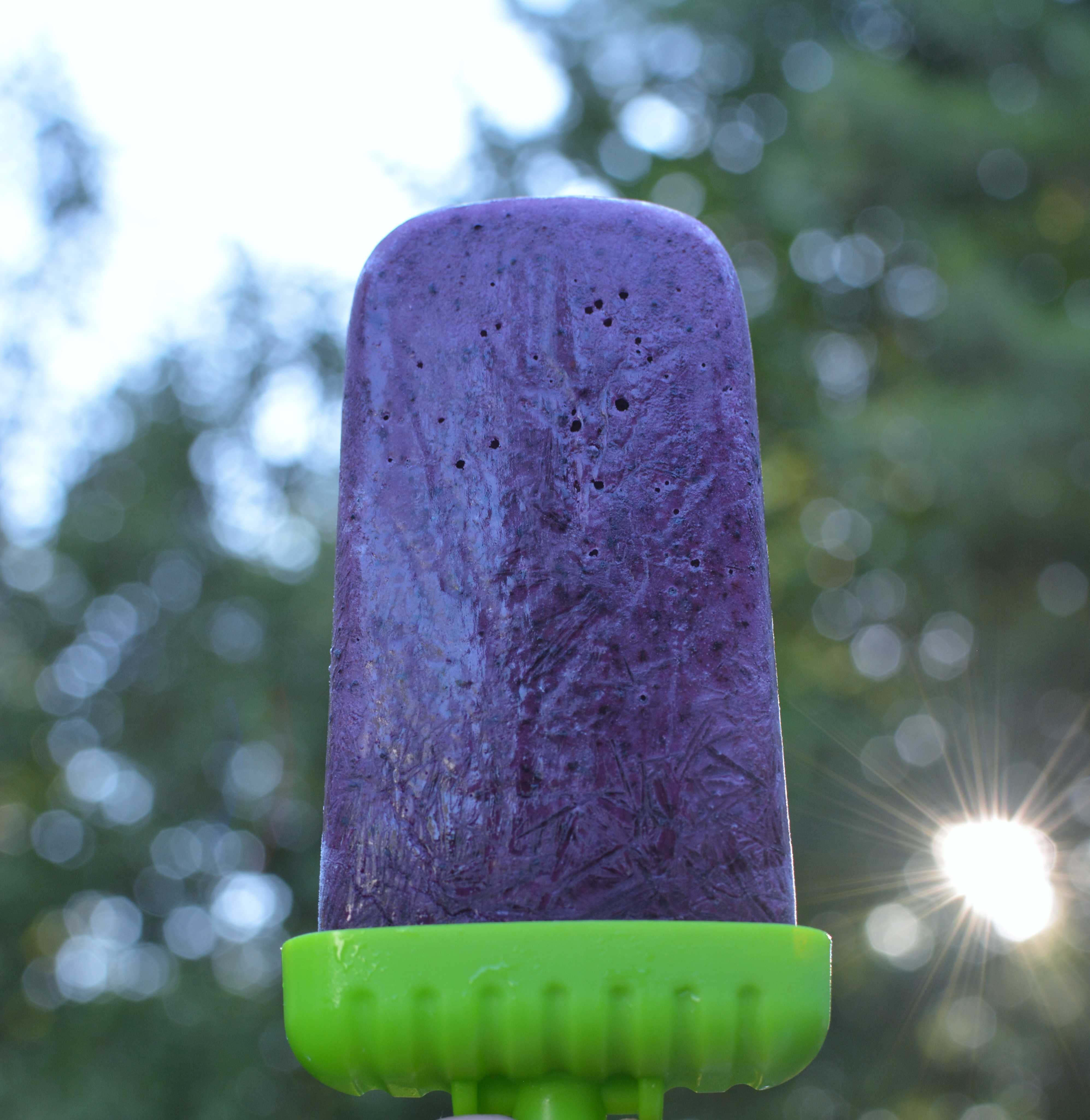 Easy Blueberry Popsicles